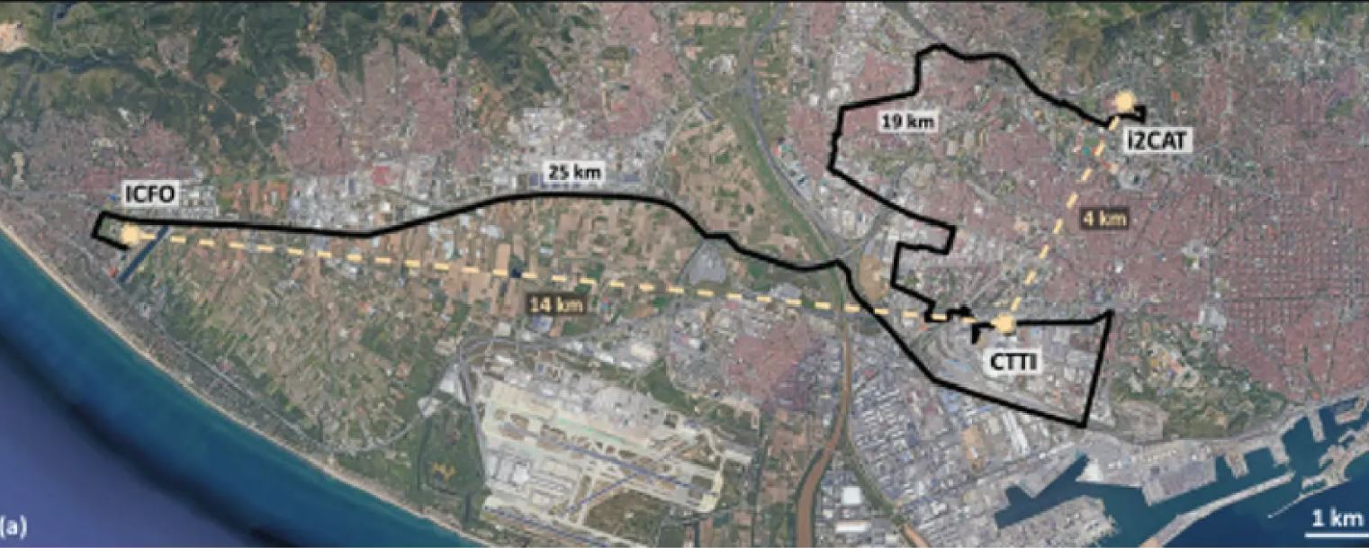 Quantum Internet Alliance